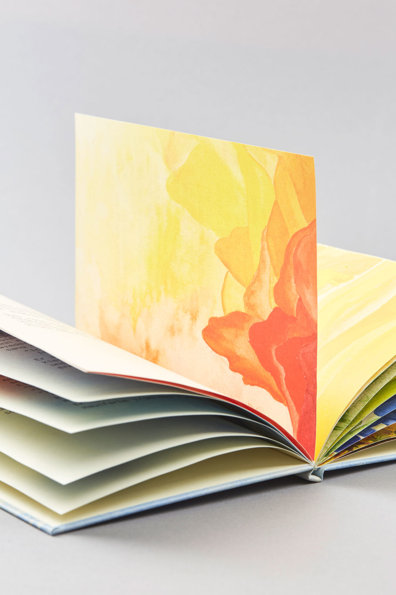 BLUBO – der kleine blaue Elefant – Ein Kinderbuch über Vielfalt ...