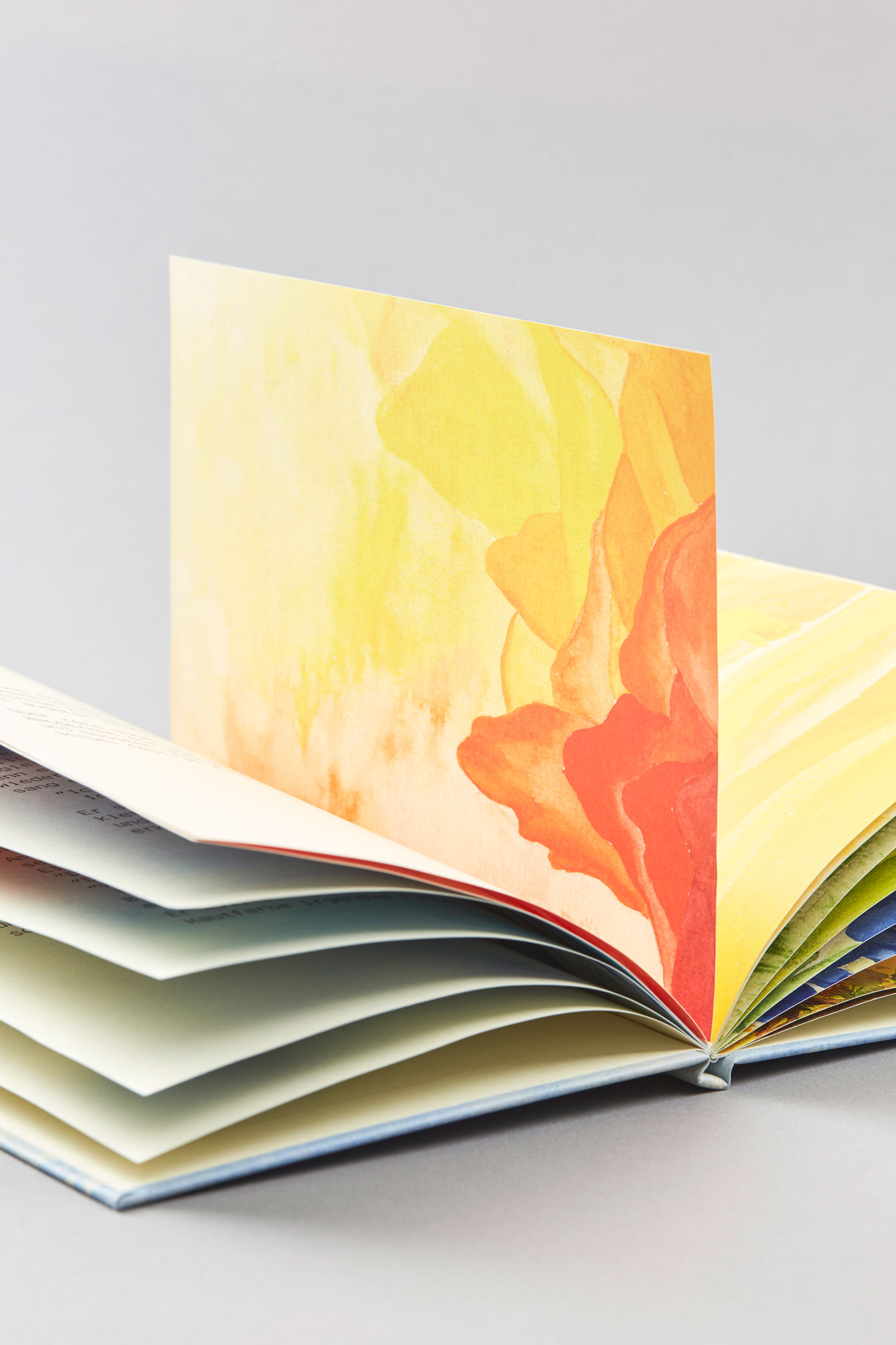 BLUBO – der kleine blaue Elefant – Ein Kinderbuch über Vielfalt ...