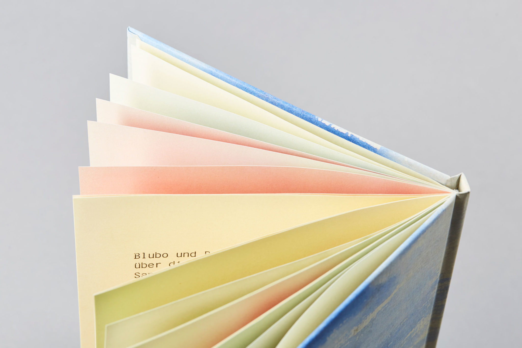 BLUBO – der kleine blaue Elefant – Ein Kinderbuch über Vielfalt ...