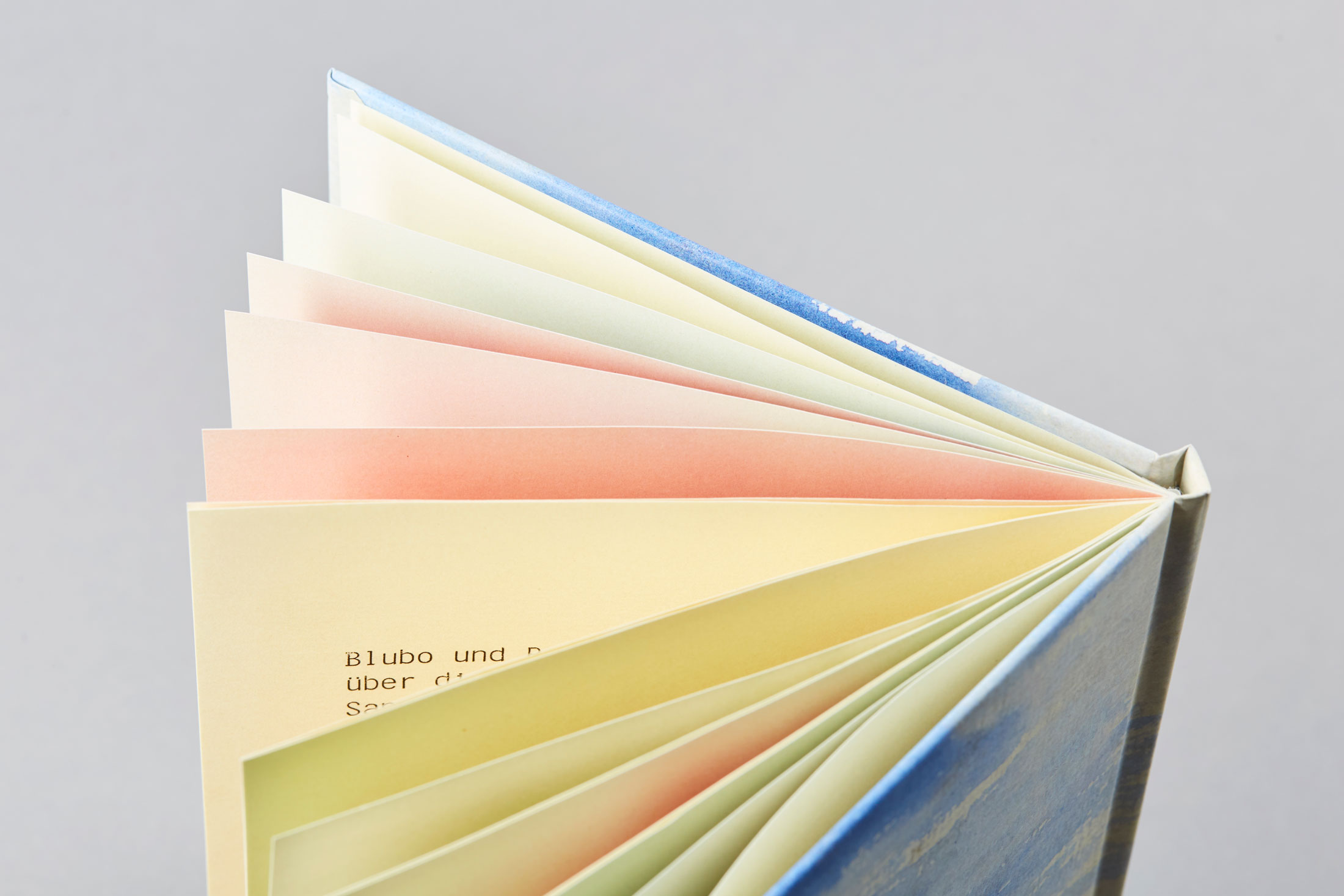 BLUBO – der kleine blaue Elefant – Ein Kinderbuch über Vielfalt ...